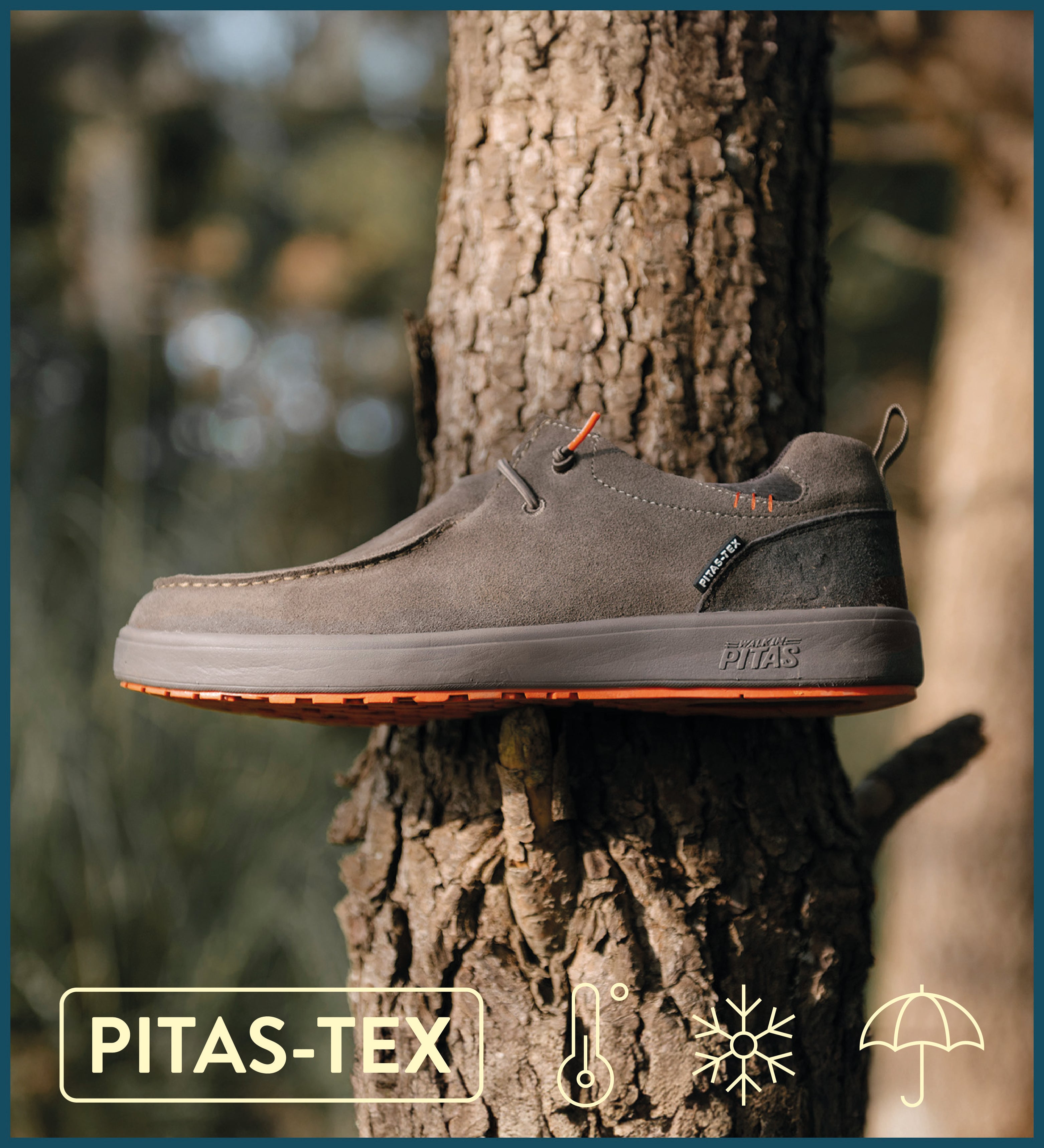 Colorido_2 - WALKINPITAS – WalkinPitas